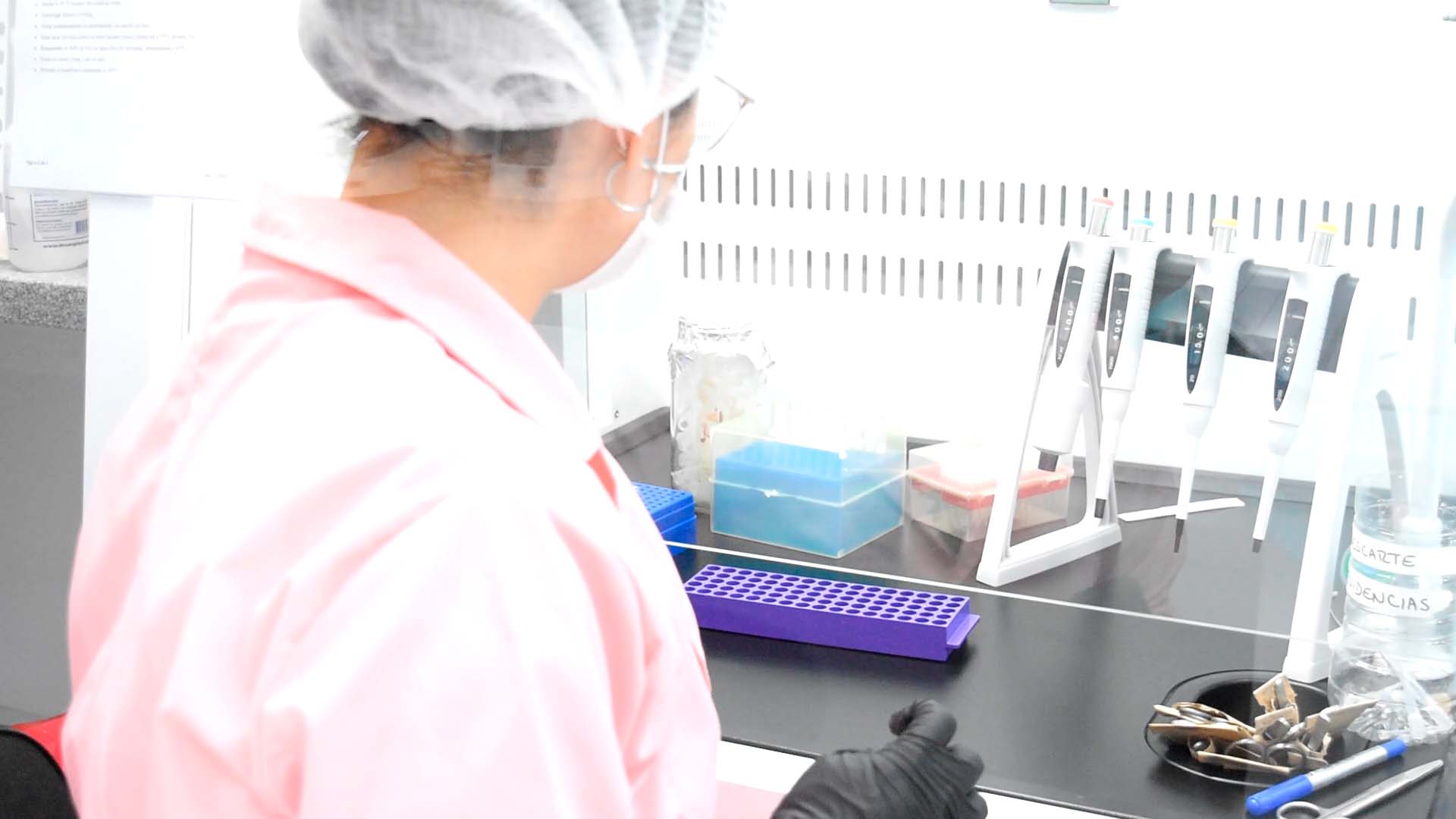 Ciencia en la UNNE: gran aporte a la región, con prestigio nacional e internacional | Medios Unne