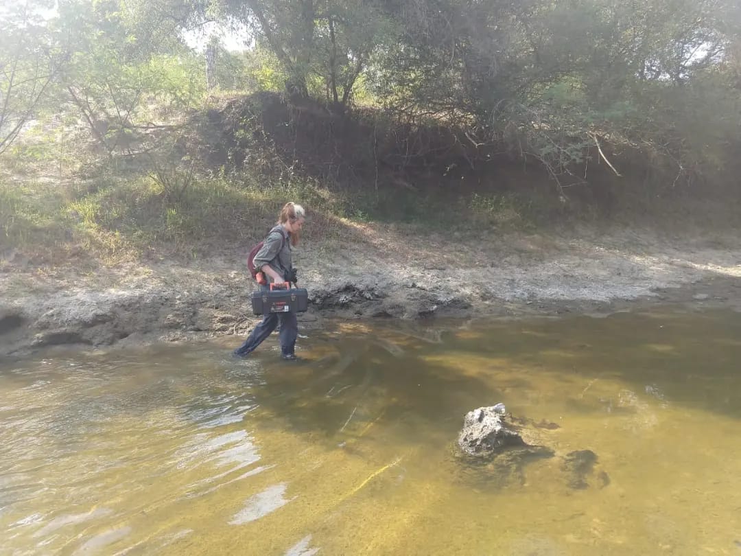 Lobito de Río, buscan conocer más sobre uno de los monumentos naturales ...