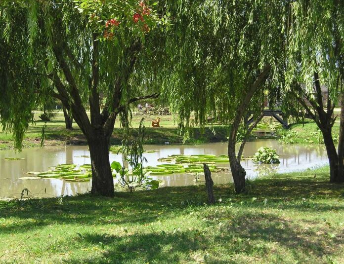 Parques inundables: estudian su viabilidad para mitigar inundaciones en ...
