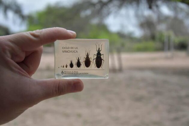 Con aporte científico de la UNNE desarrollan una vacuna nasal para ...