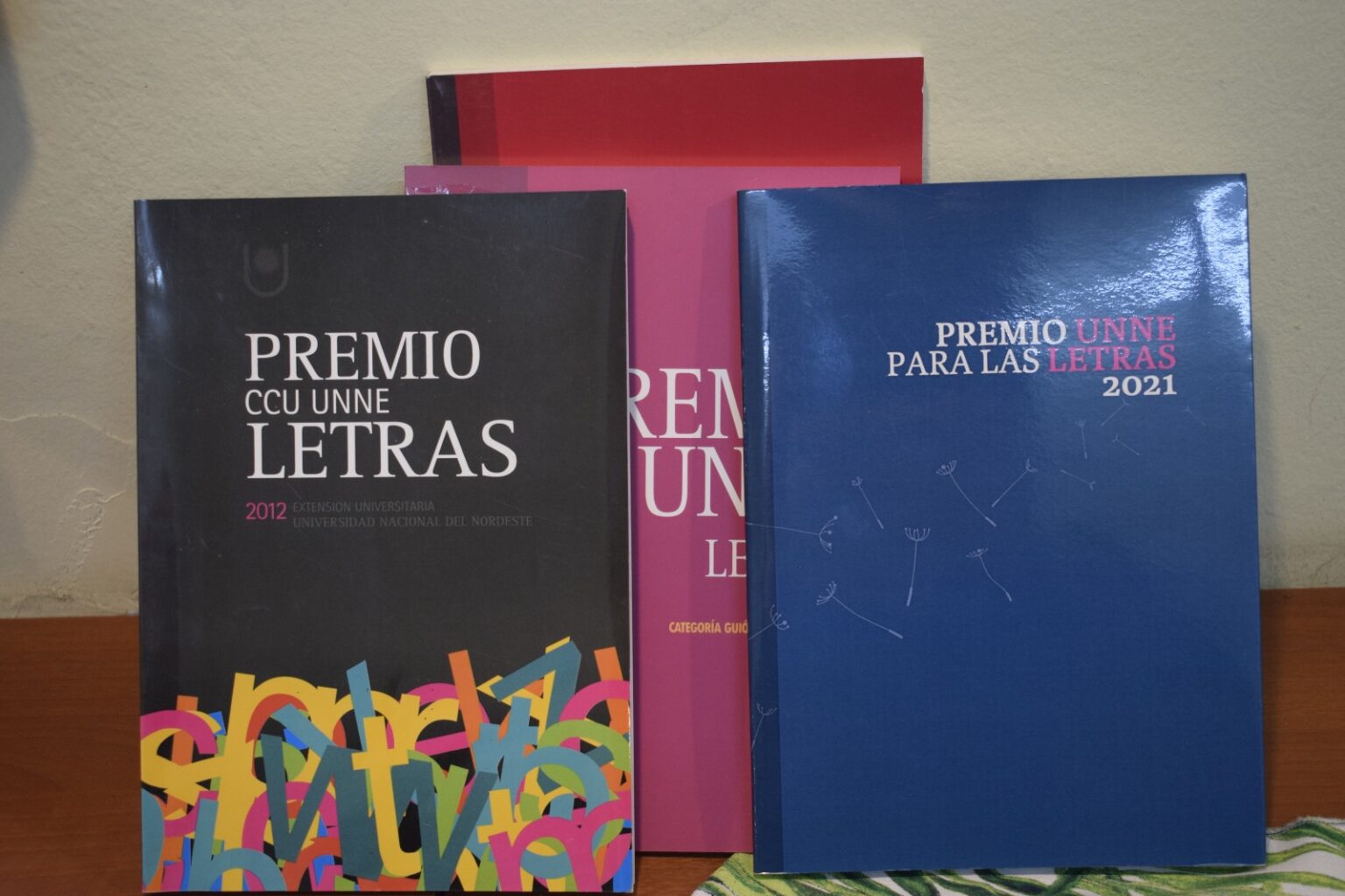 Ganadores del Premio UNNE para las Letras 2025 | Medios Unne
